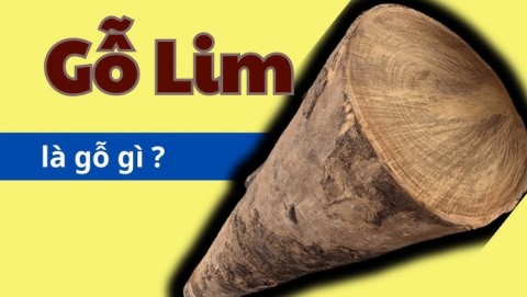 Đặc tính và ứng dụng của Gỗ lim Lào Mua Bán sản xuất thi công Tuy Hoà ...